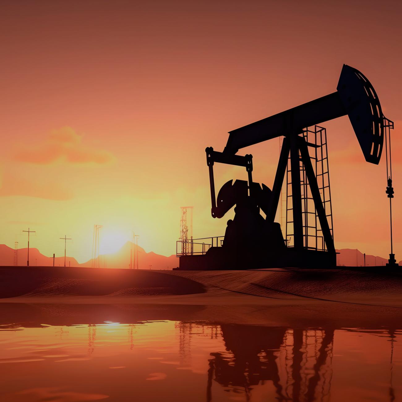 Insights | PMCapital