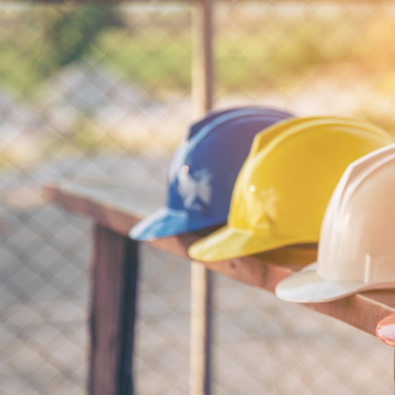 Insights | PMCapital