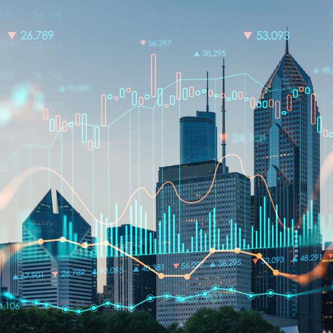 Insights | PMCapital